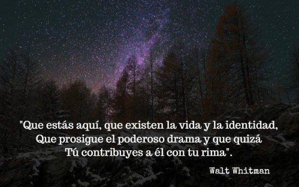 Frases de escritores famosos: palabras para pensar