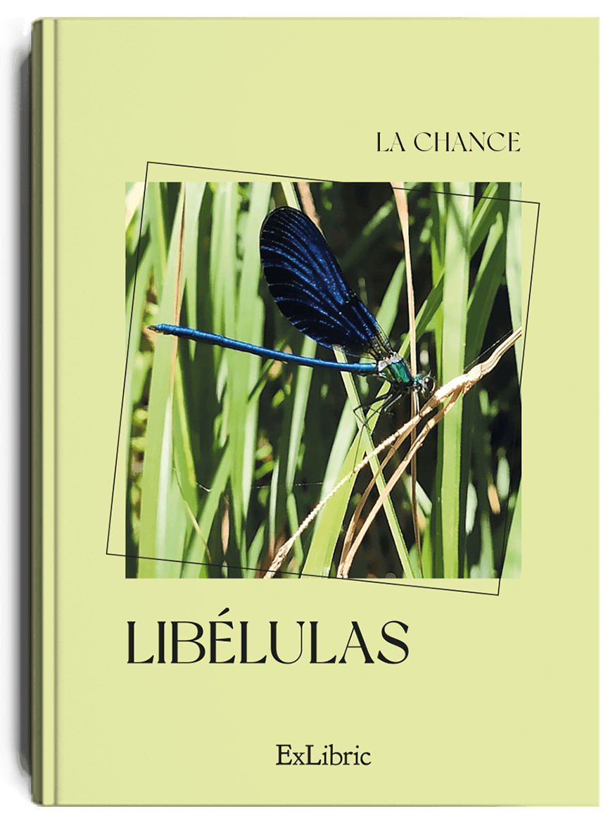 Libélulas