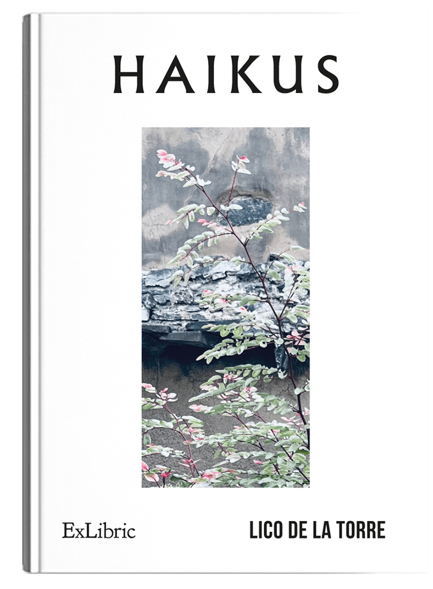 Haikus